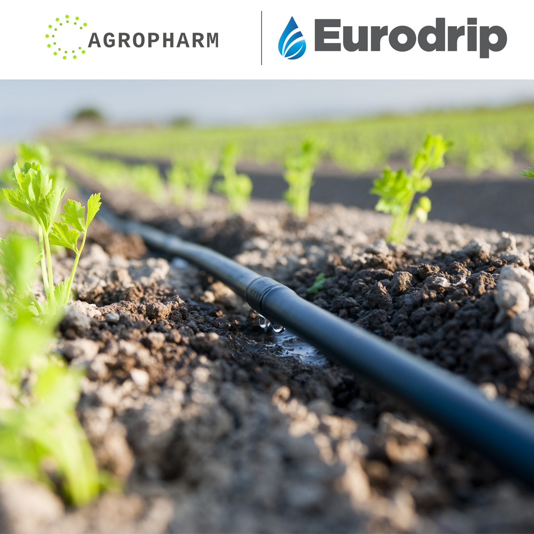 Kap po kap trake, cevi i okiteni za navodnjavanje - Agropharm