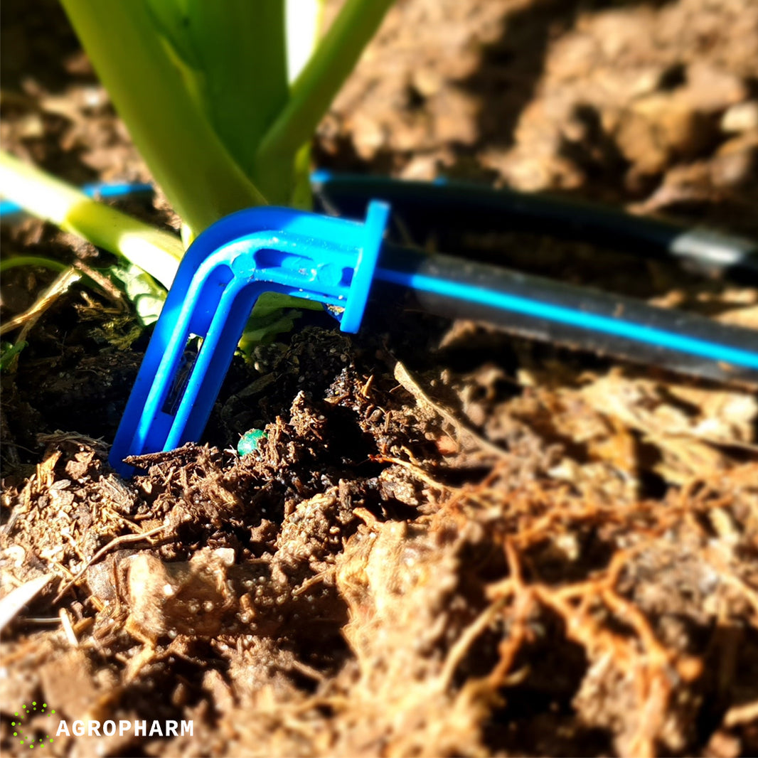 Kap po kap creva i spojnice - Agropharm