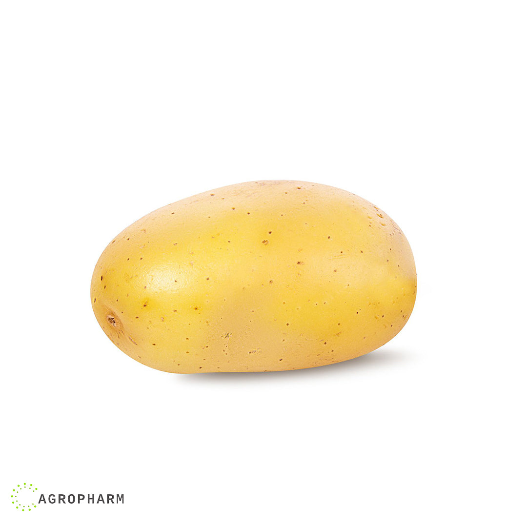 Krompir MARABEL 10kg - Agropharm - Agropharm